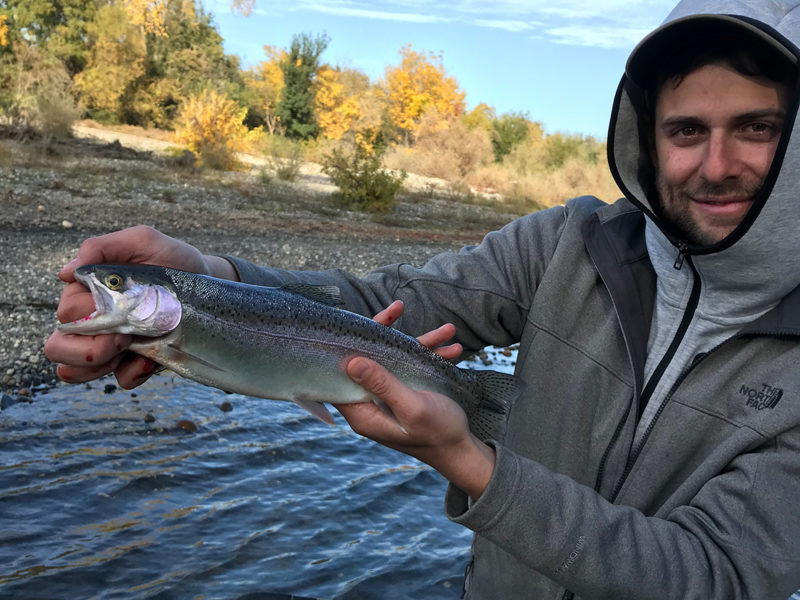 American River Salmon Fishing Oct, 2017